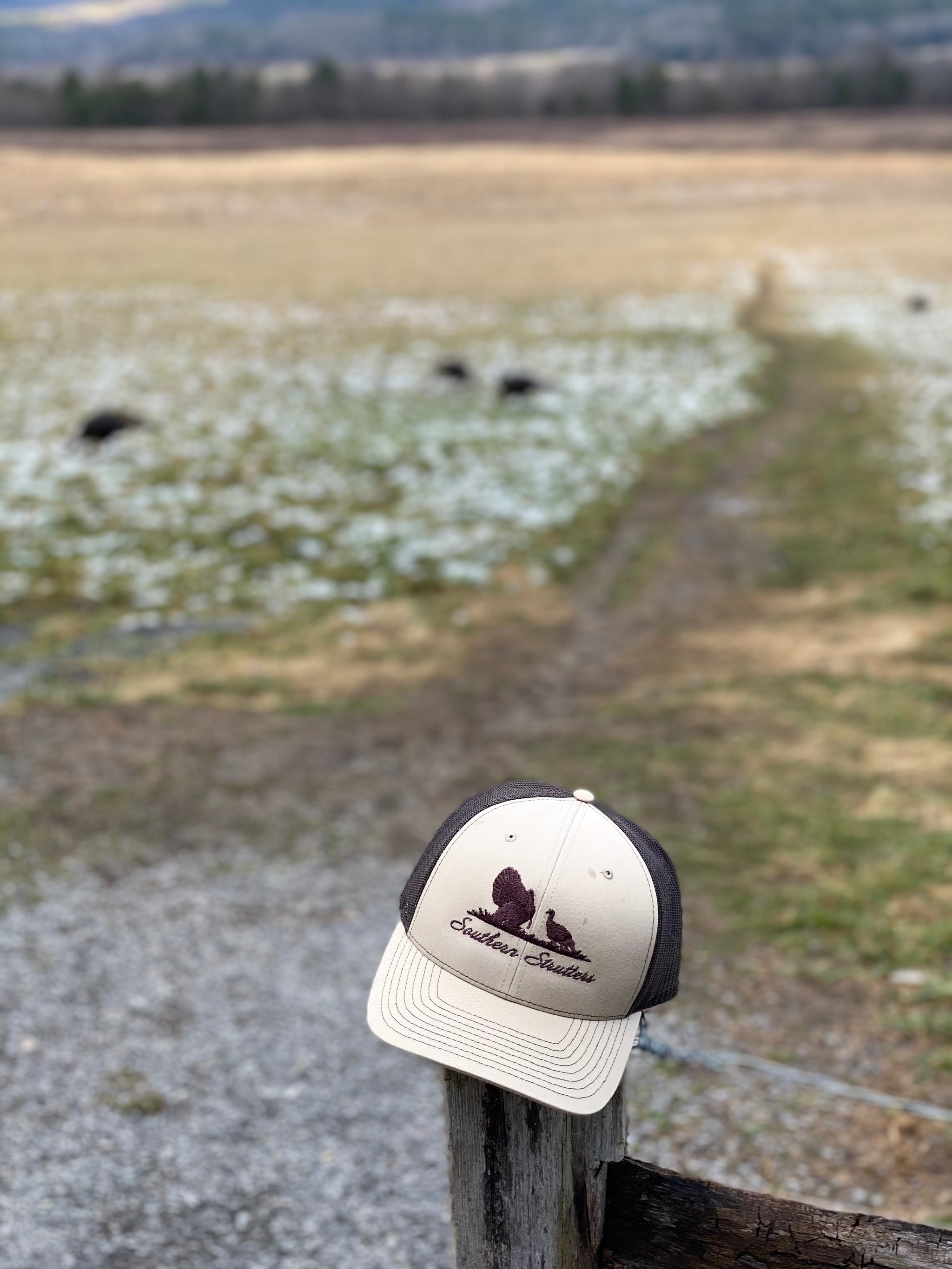 southern strutters – Southernstrutters